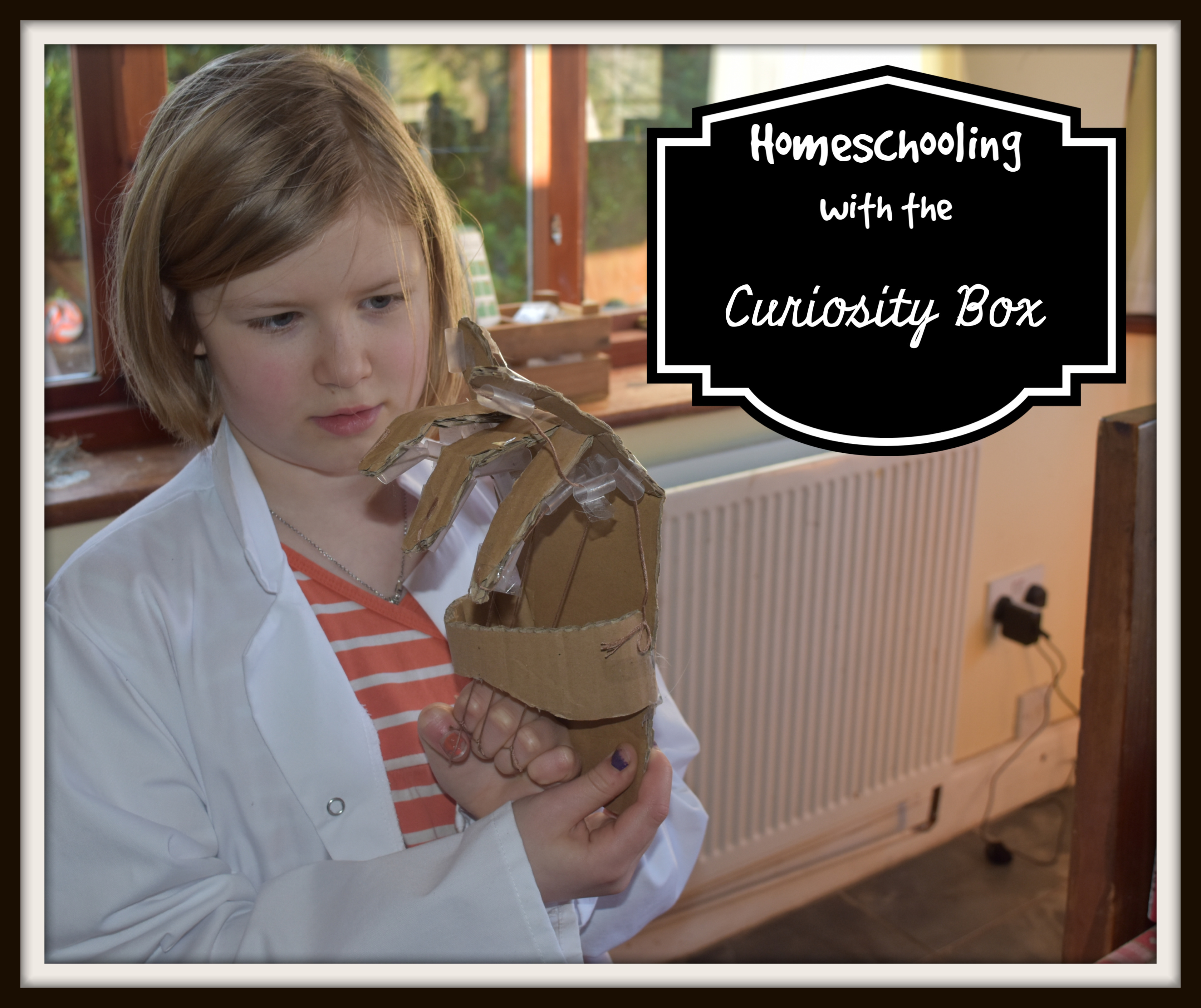 Homeschooling with the Curiosity Box: Supplementary Science Fun!