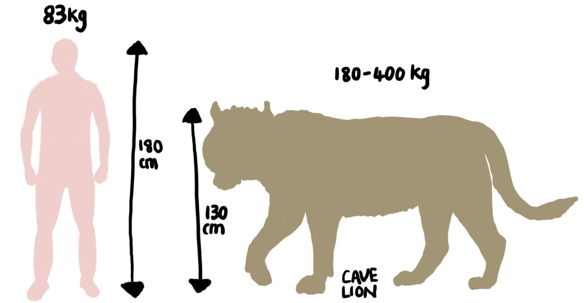 The Lion Man Artefact Lesson