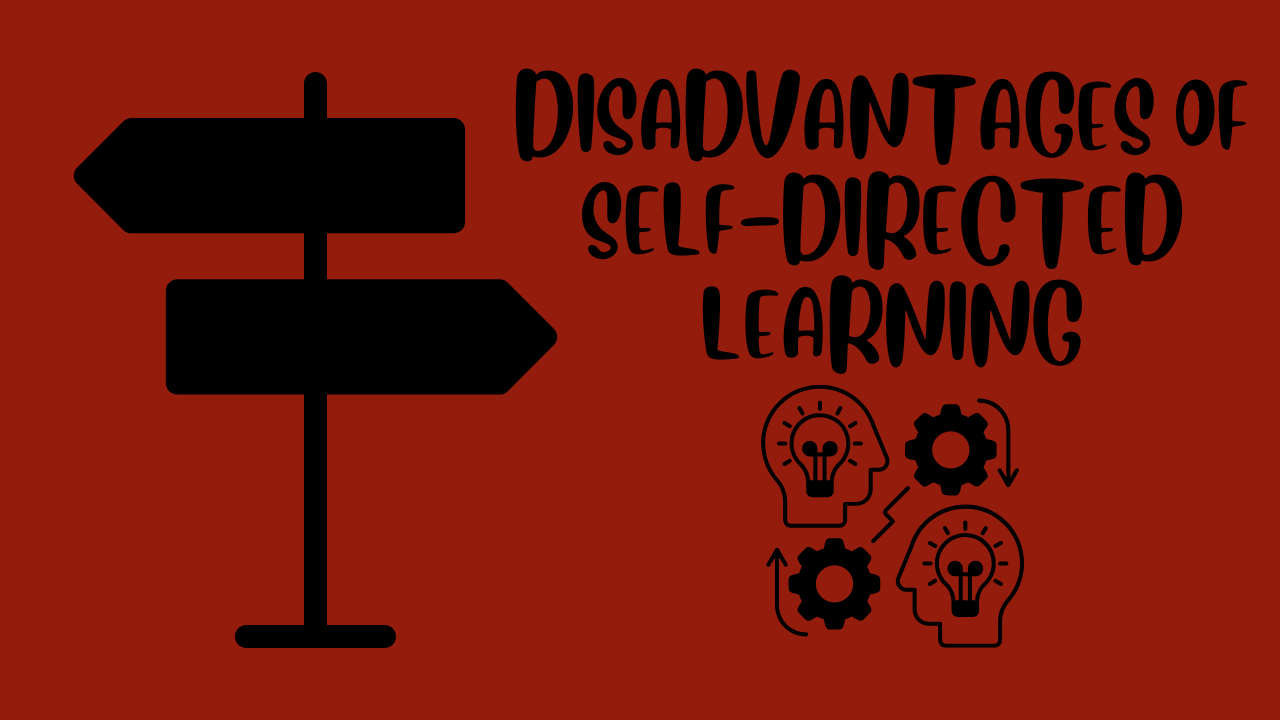 Disadvantages of Self-Directed Learning as a Homeschooler ...